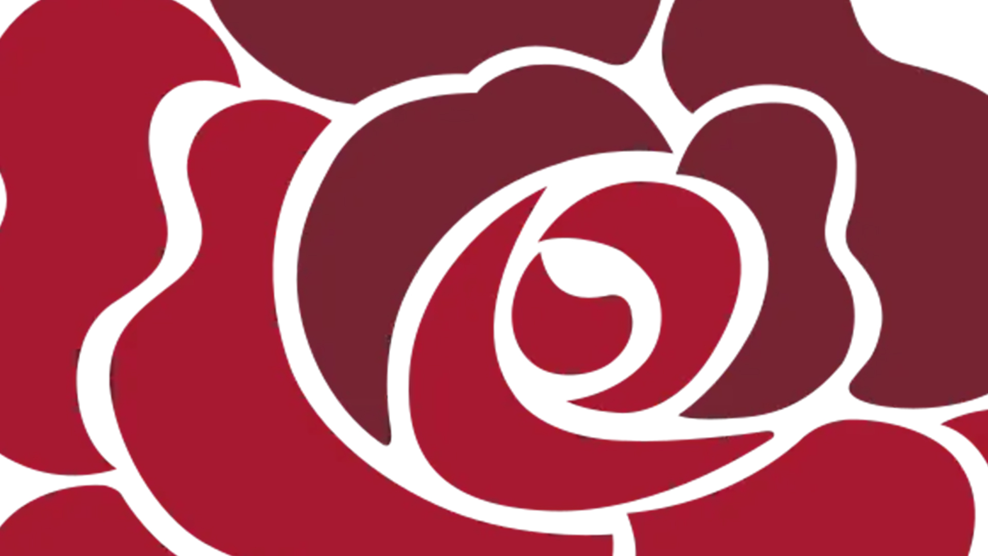 Lancashire Rugby